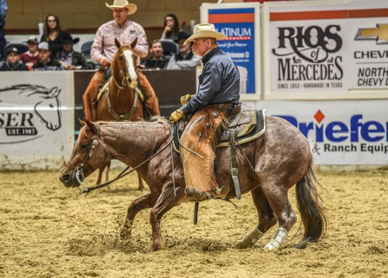 Metallic Rey Mink - Los Jaboncillos Ranch